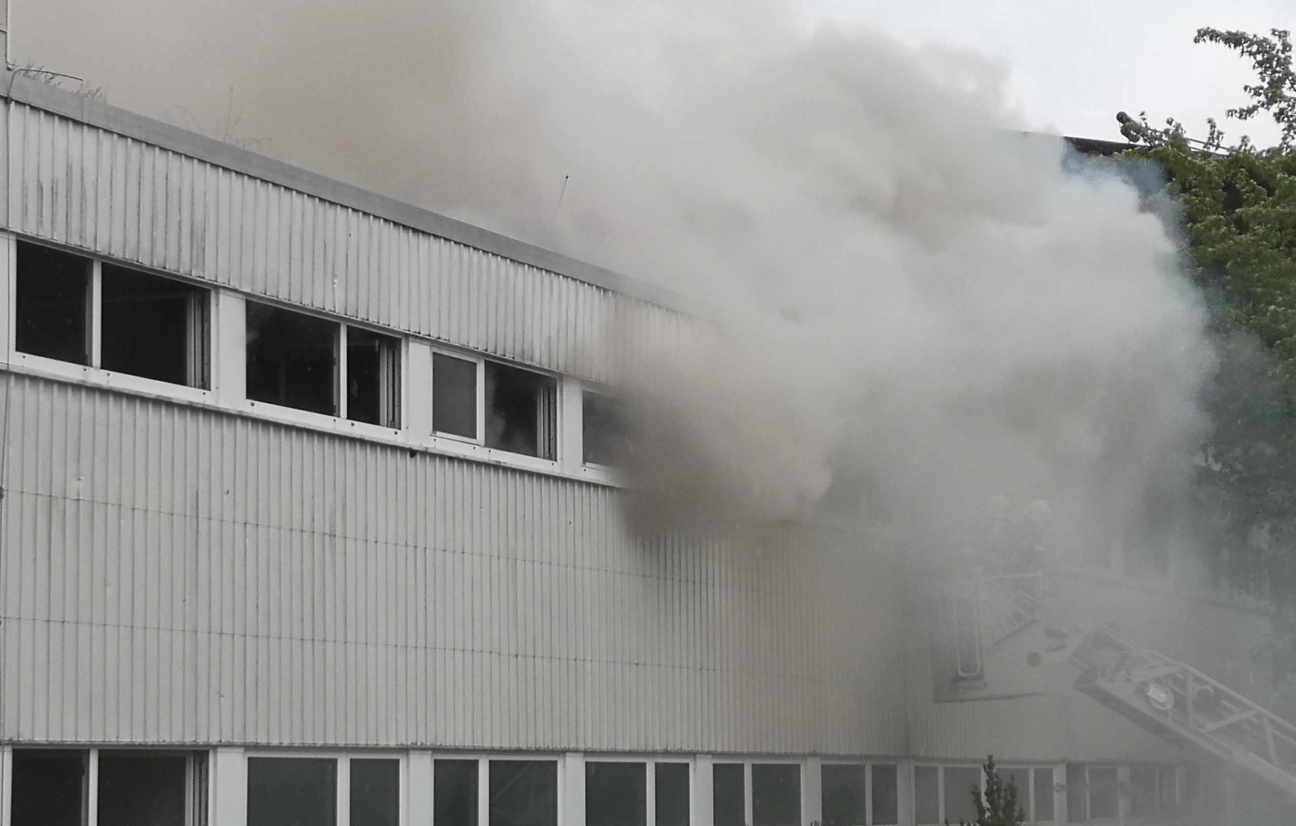 Qualm_groß – Wildungen Digital